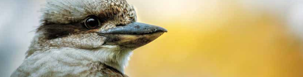 Home | Minton Farm Animal Rescue Centre